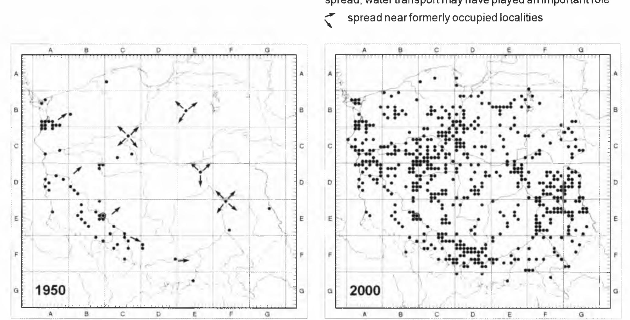 Oubsequent phases of spread. stabilisation and filling in of