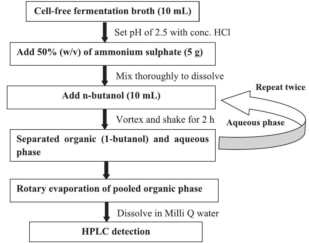 Schematic flow sheet of the lactic acid recovery process