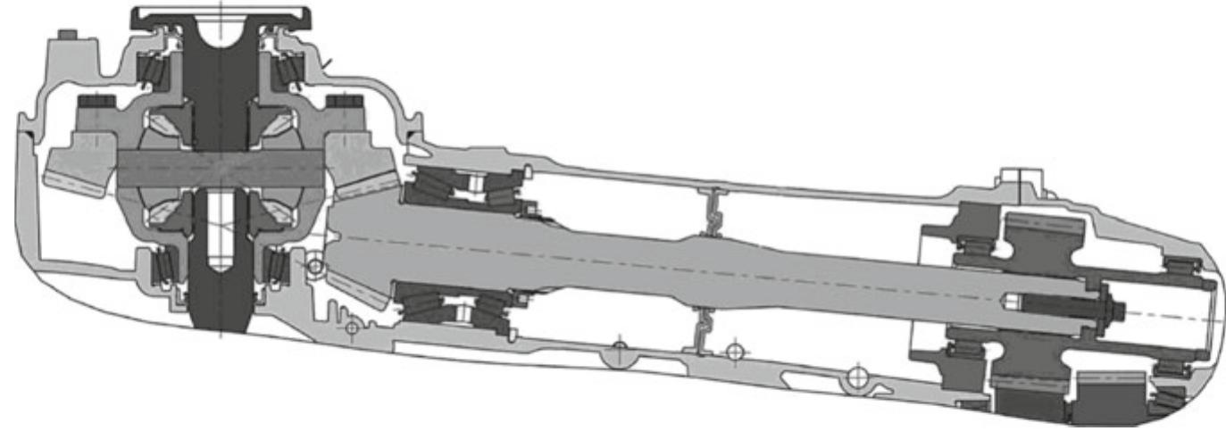 (PDF) Differentials and Final Drives