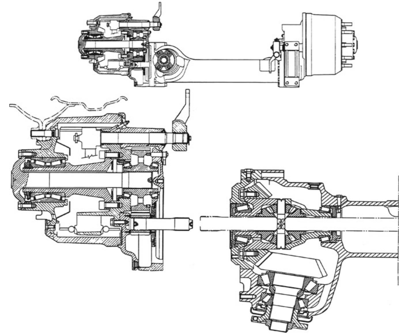 (PDF) Differentials and Final Drives
