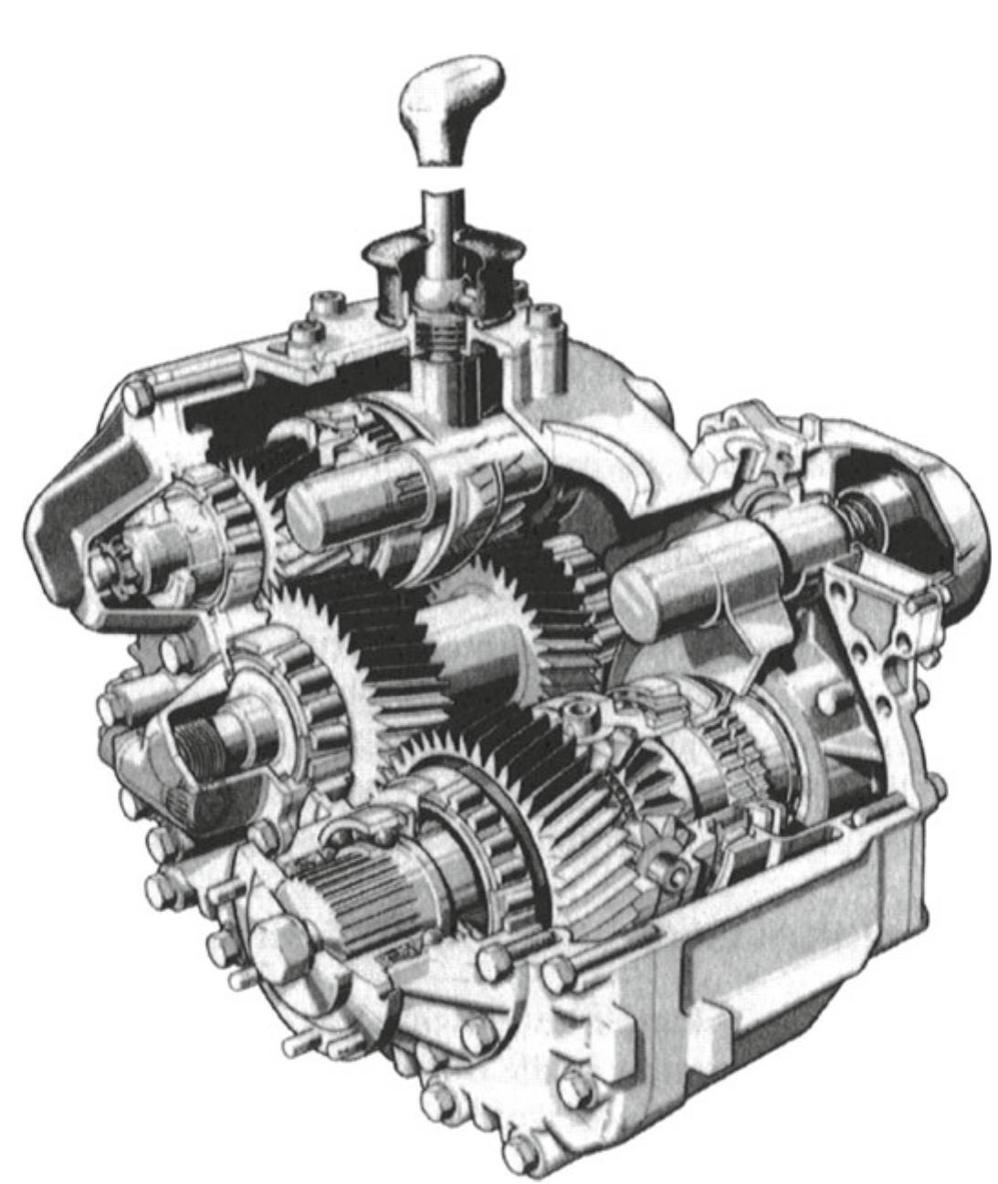 (PDF) Differentials and Final Drives
