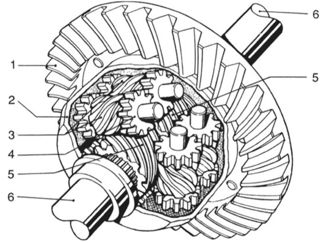(PDF) Differentials and Final Drives