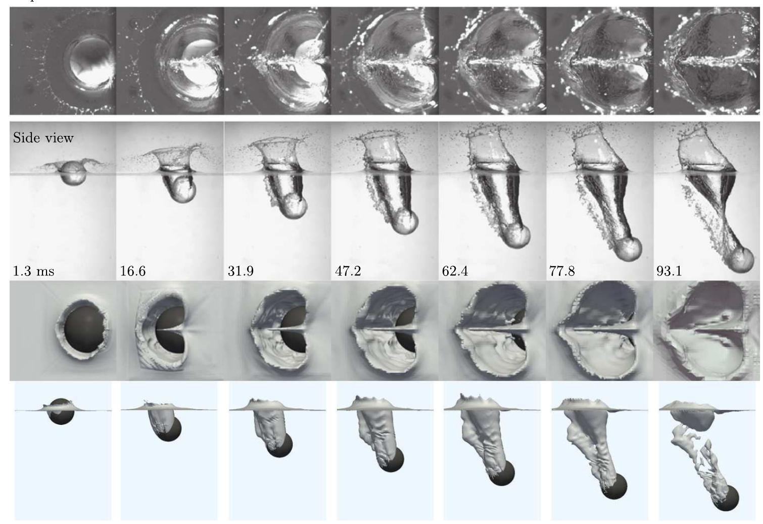 Cavity shape comparison between experiment (top) and