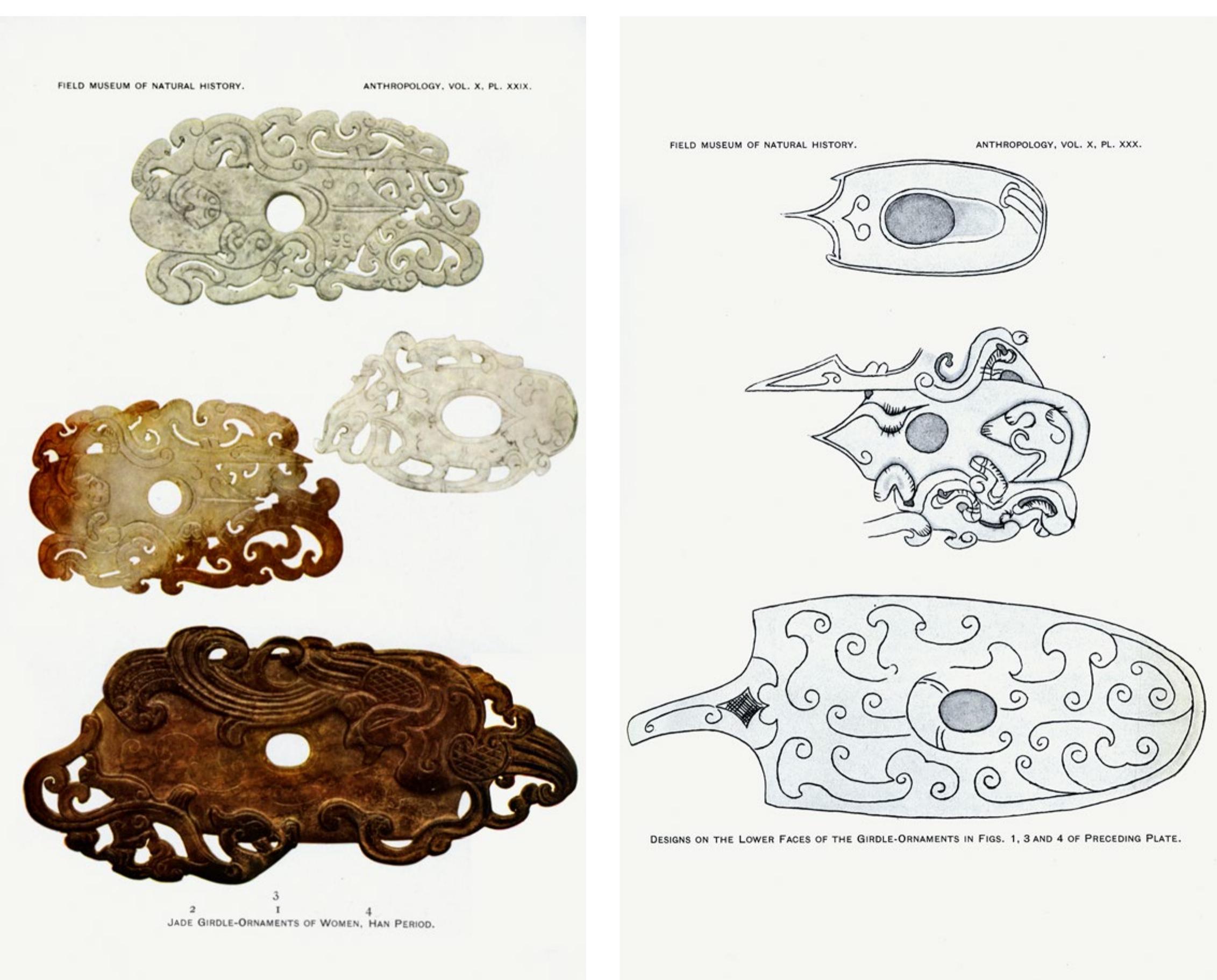 Photographs (left) and line drawings (right) of