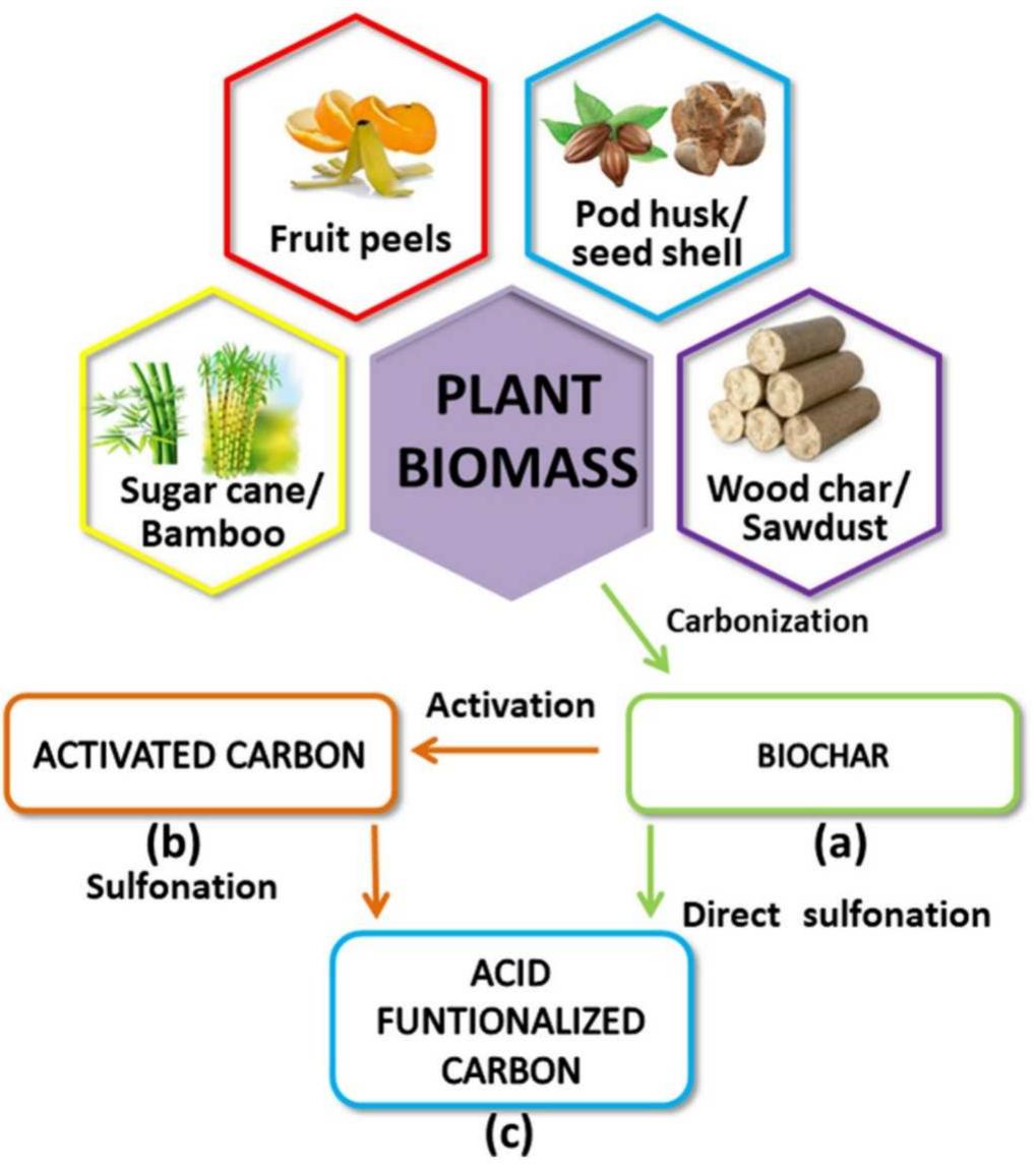 General flowchart for the synthesis of biomass-derived