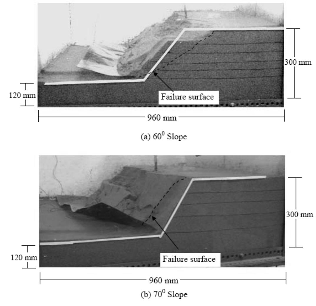 Side views of the failed unreinforced slopes. settlement for