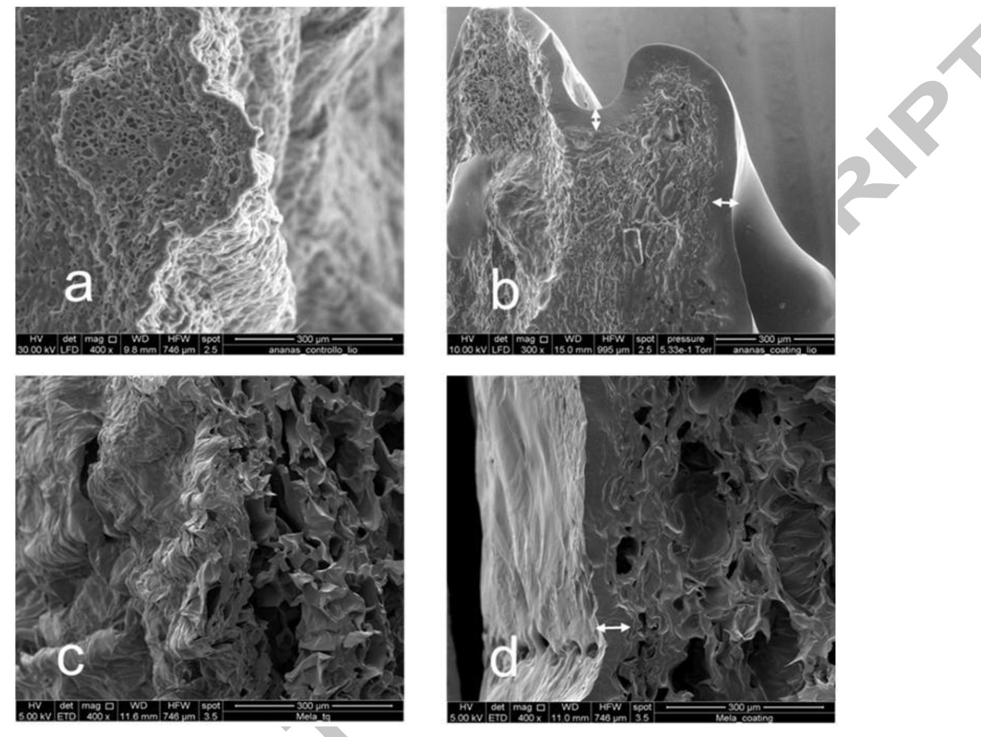 A,b,c,d. sem cross-section micrographs of pi (a), piph (b),