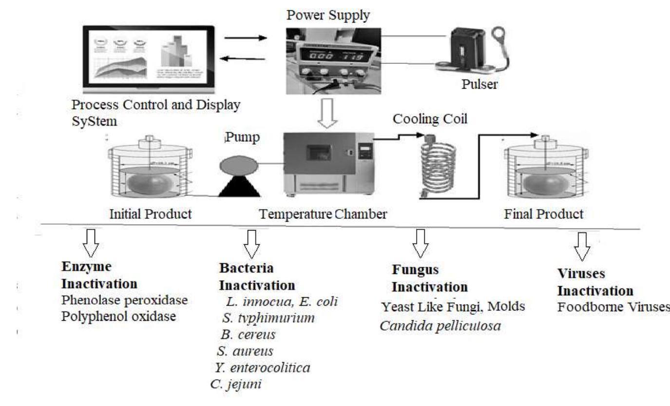 Schematic diagram of pef and list of enzymatic and microbes
