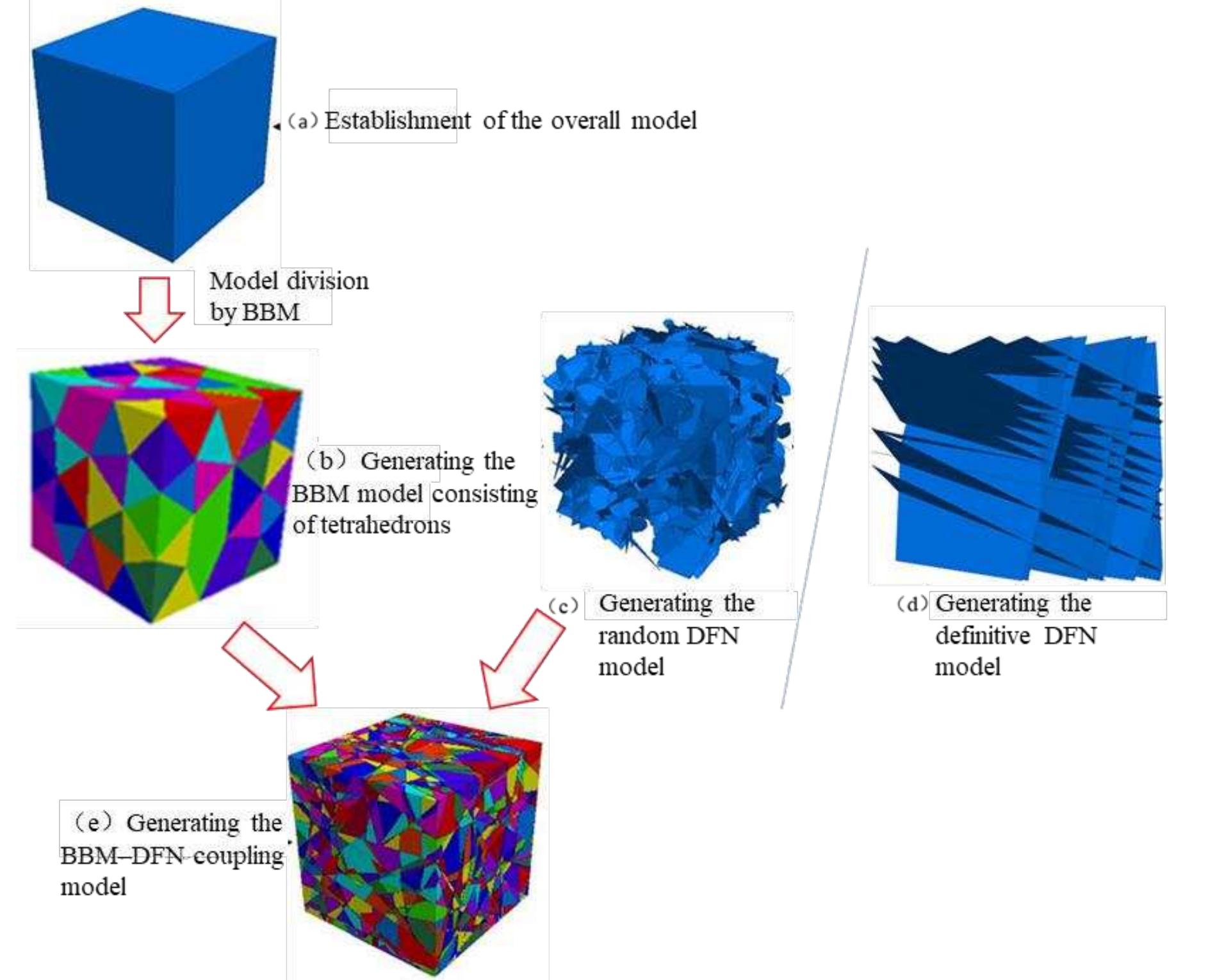Schematic diagrams of the coupling process of the bbm-dfn