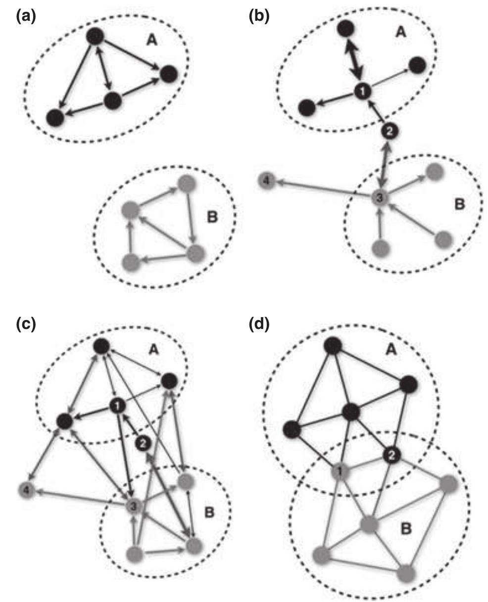 Three examples of networks. (a) modular structure consisting