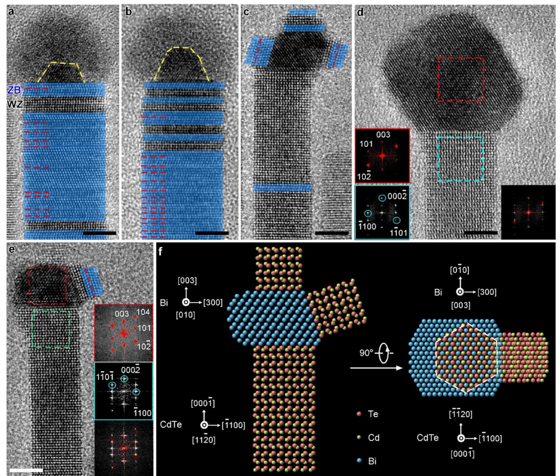 Crystal-phase control of cdte quantum wires. the wires are