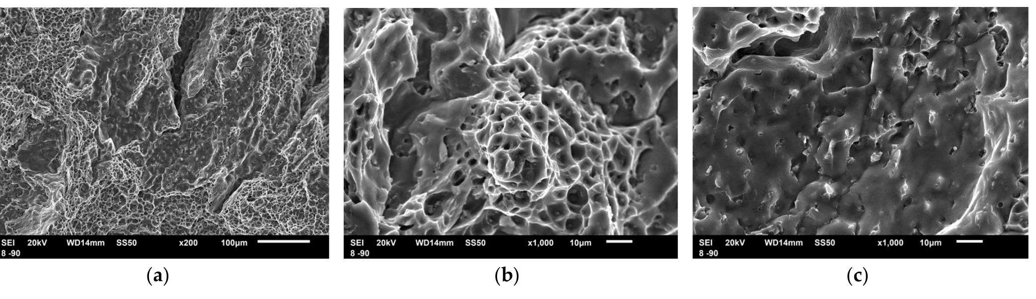 Sem fracture surface morphology of aa5083 alloy, under