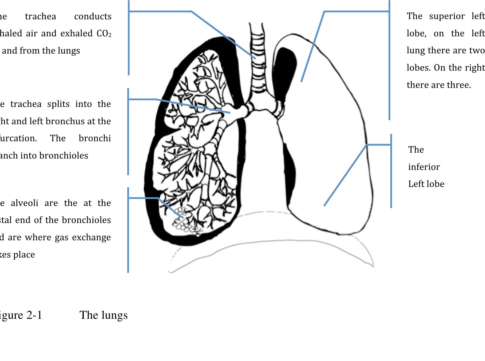 Figure 1 - from An Electrospray Solution to the Pulmonary