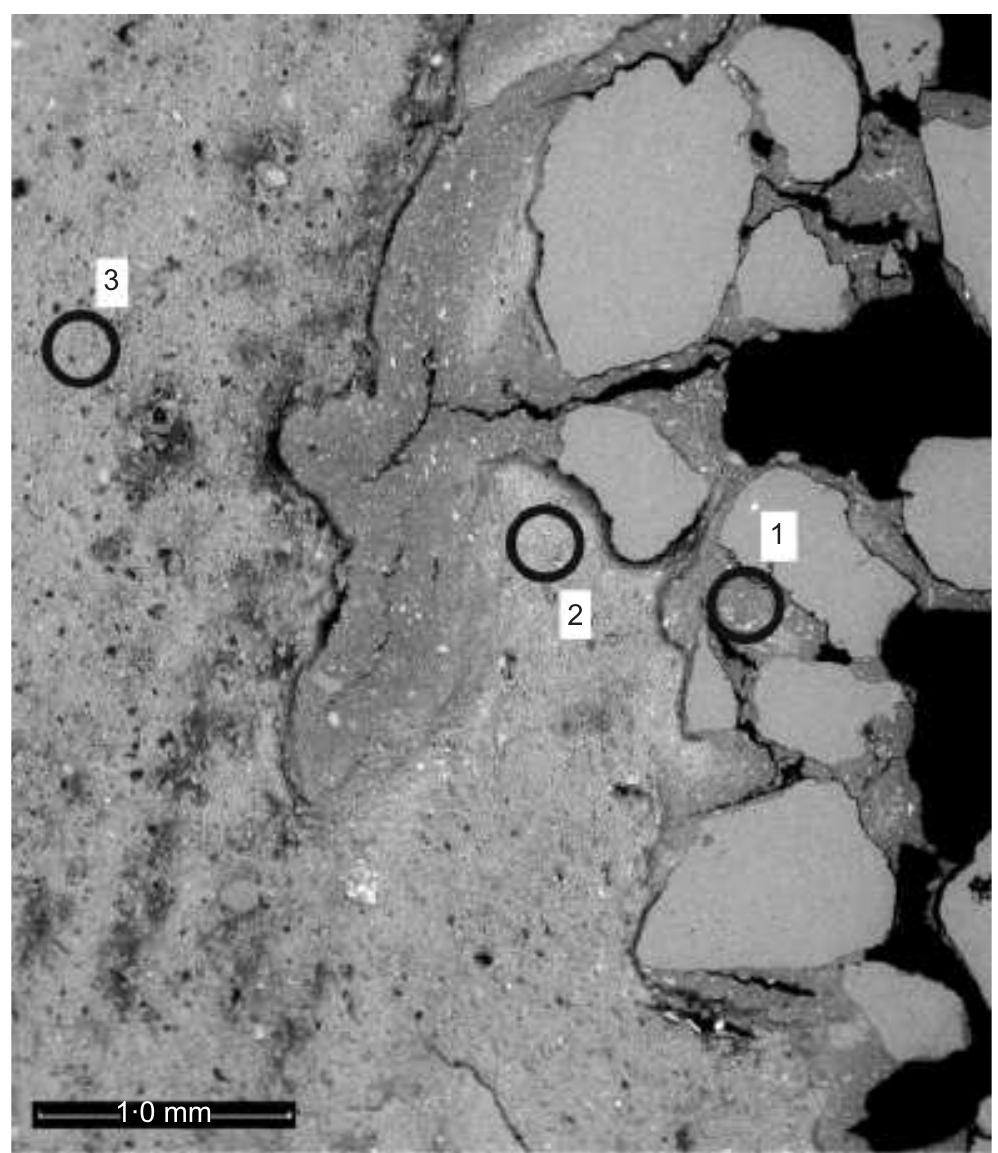 4 x 4-6 mm esem image of radial cross-section through the