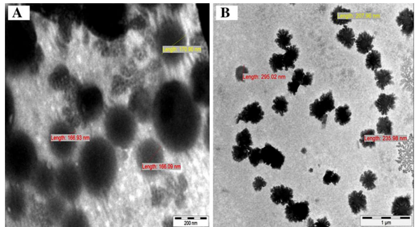 A tem images of cs-nps-cu (b) es-cs-nps-cu fig. 3. a sem