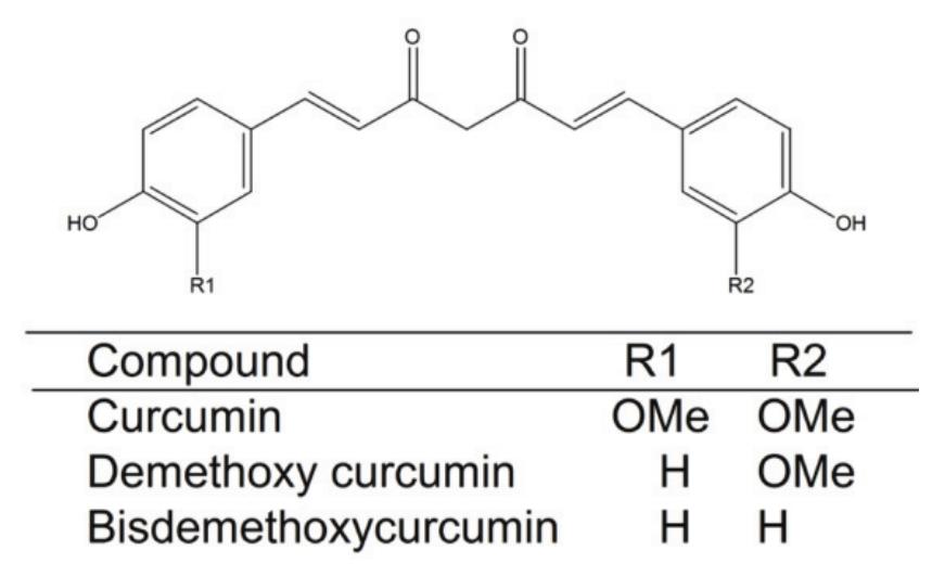 Chemical structure of the curcumin molecules. cell. the