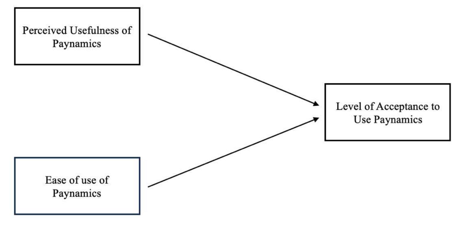 The conceptual framework was structured around an