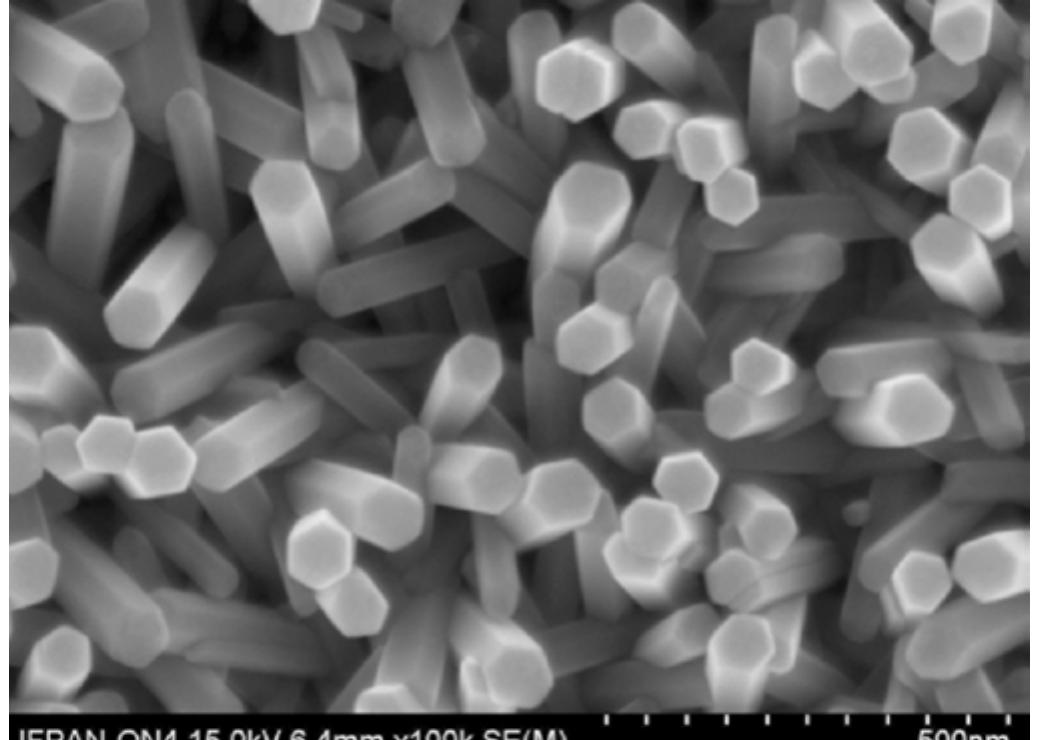 Scanning electron microscope image of zno nanorods