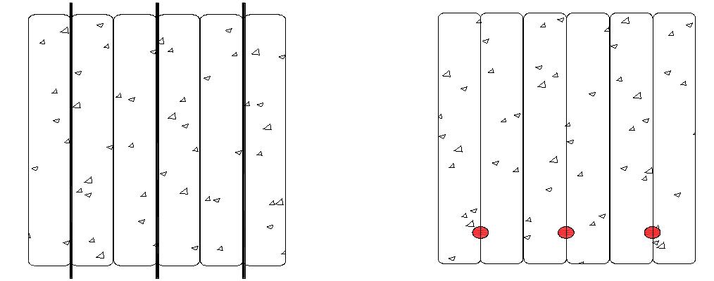 Cross sections of mesh placement (left) and rebar placement
