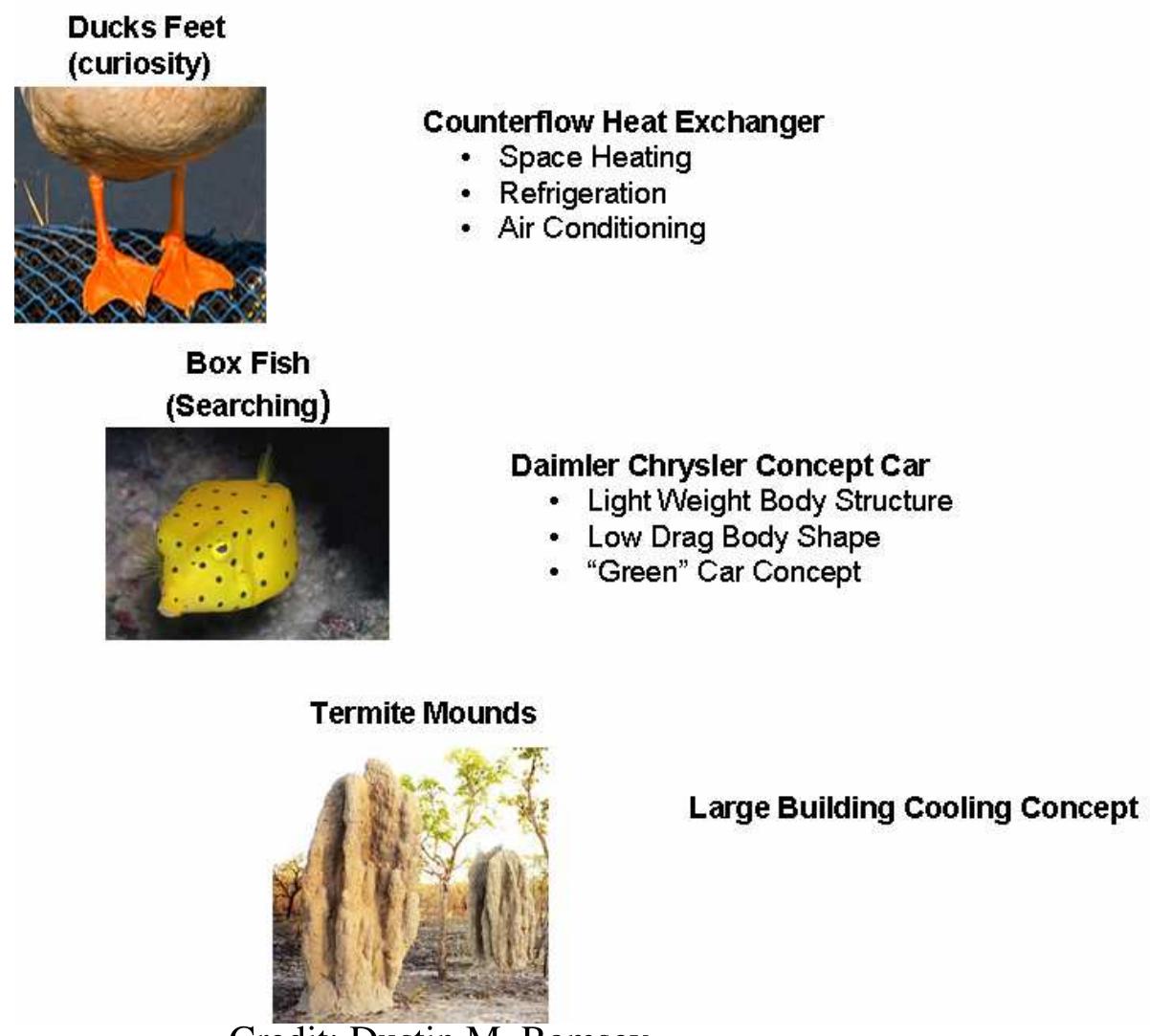 The biomimicry examples shown in figure 53 show that ideas