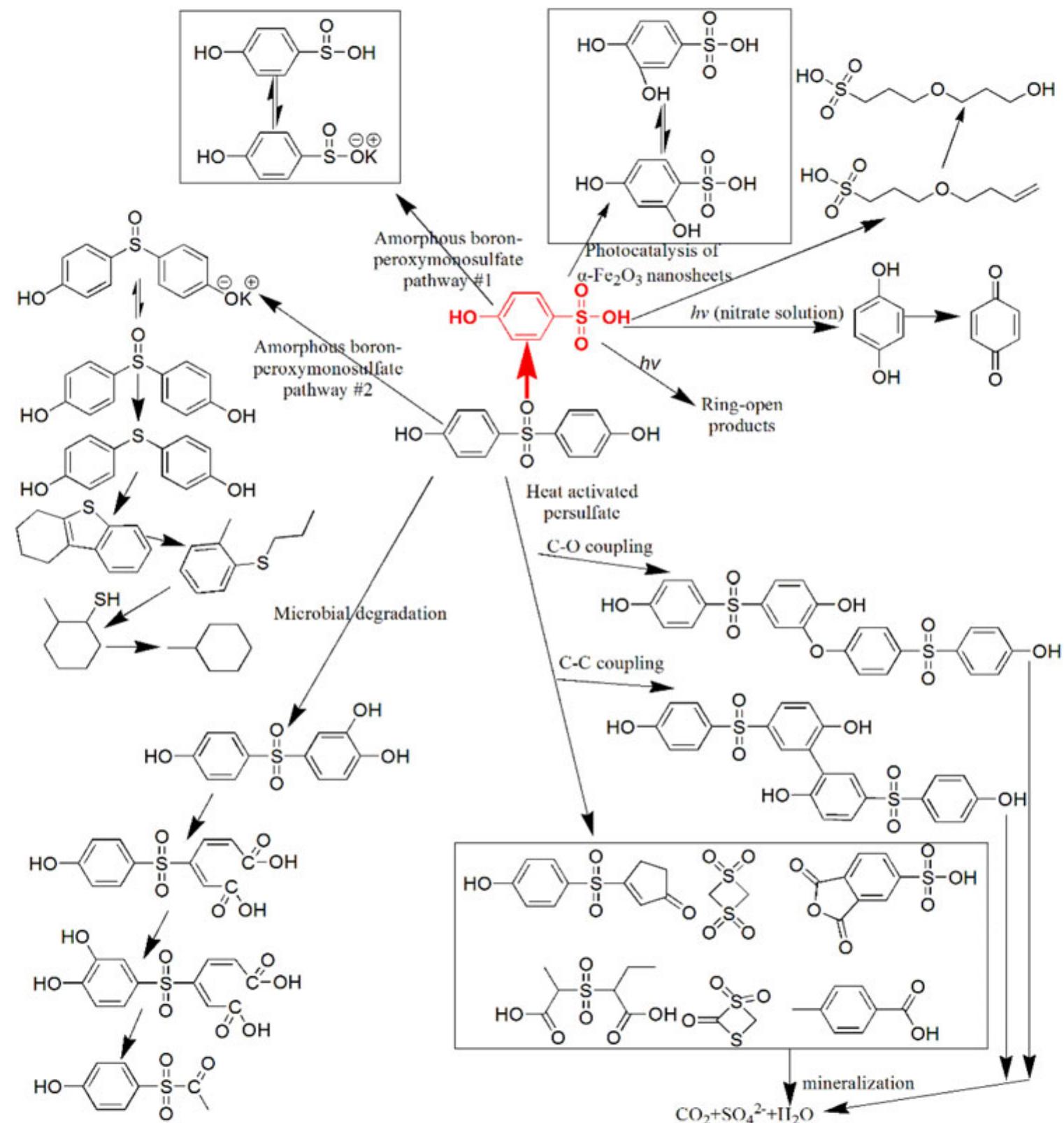 Proposed bisphenol s degradation pathways by different