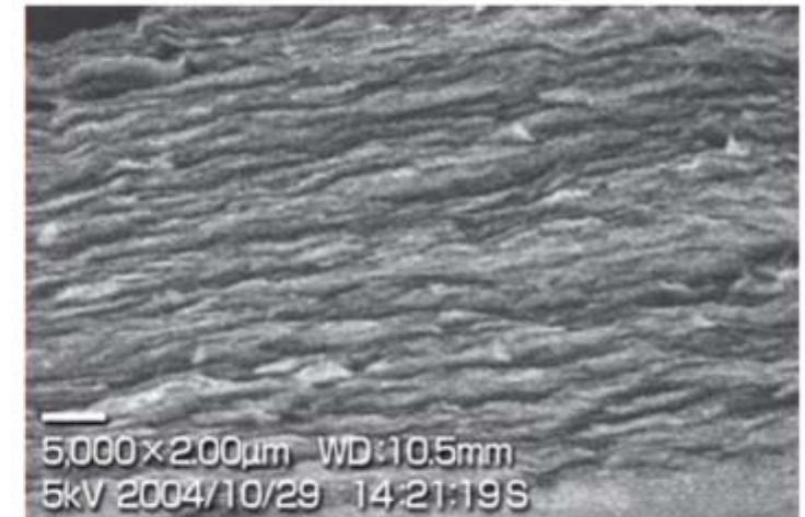 Densely laminated platelet-shaped clay crystals called