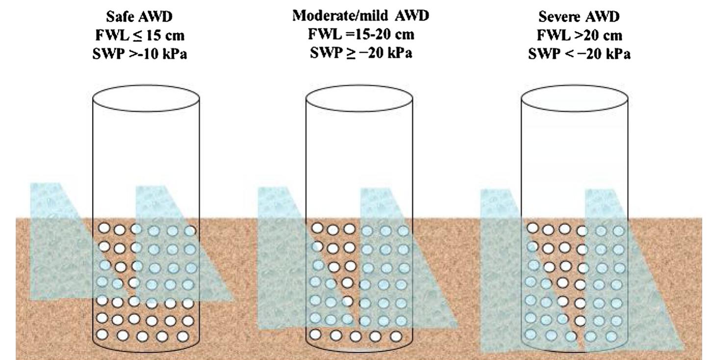 Alternate wetting and drying cycles and its effect on crop