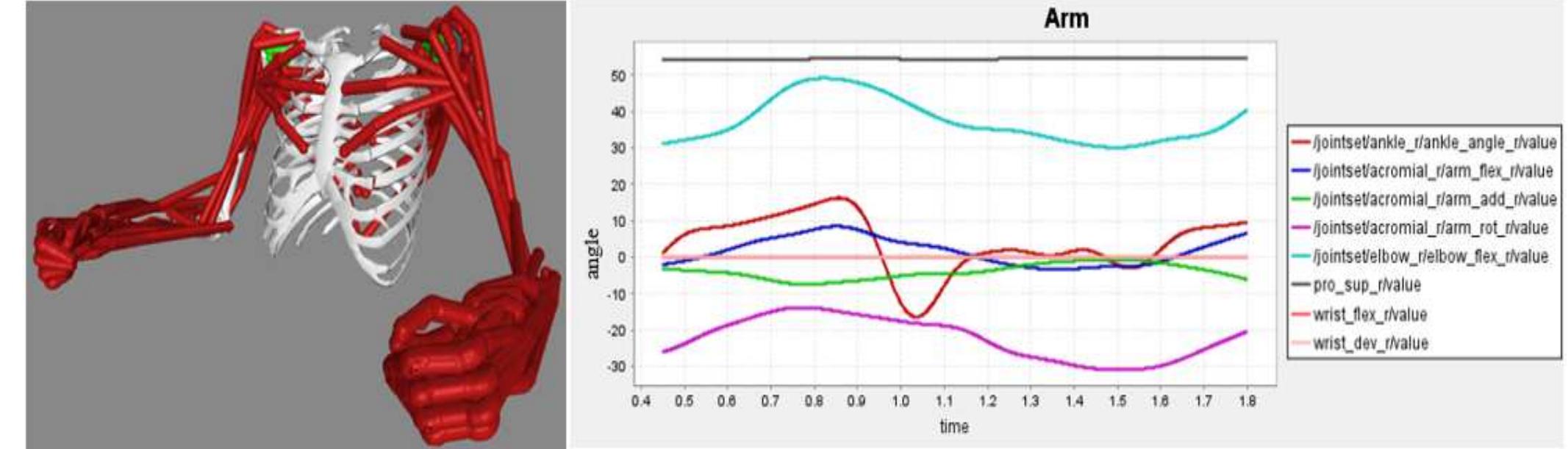 Simulated human upper limb model data using opensim [30],