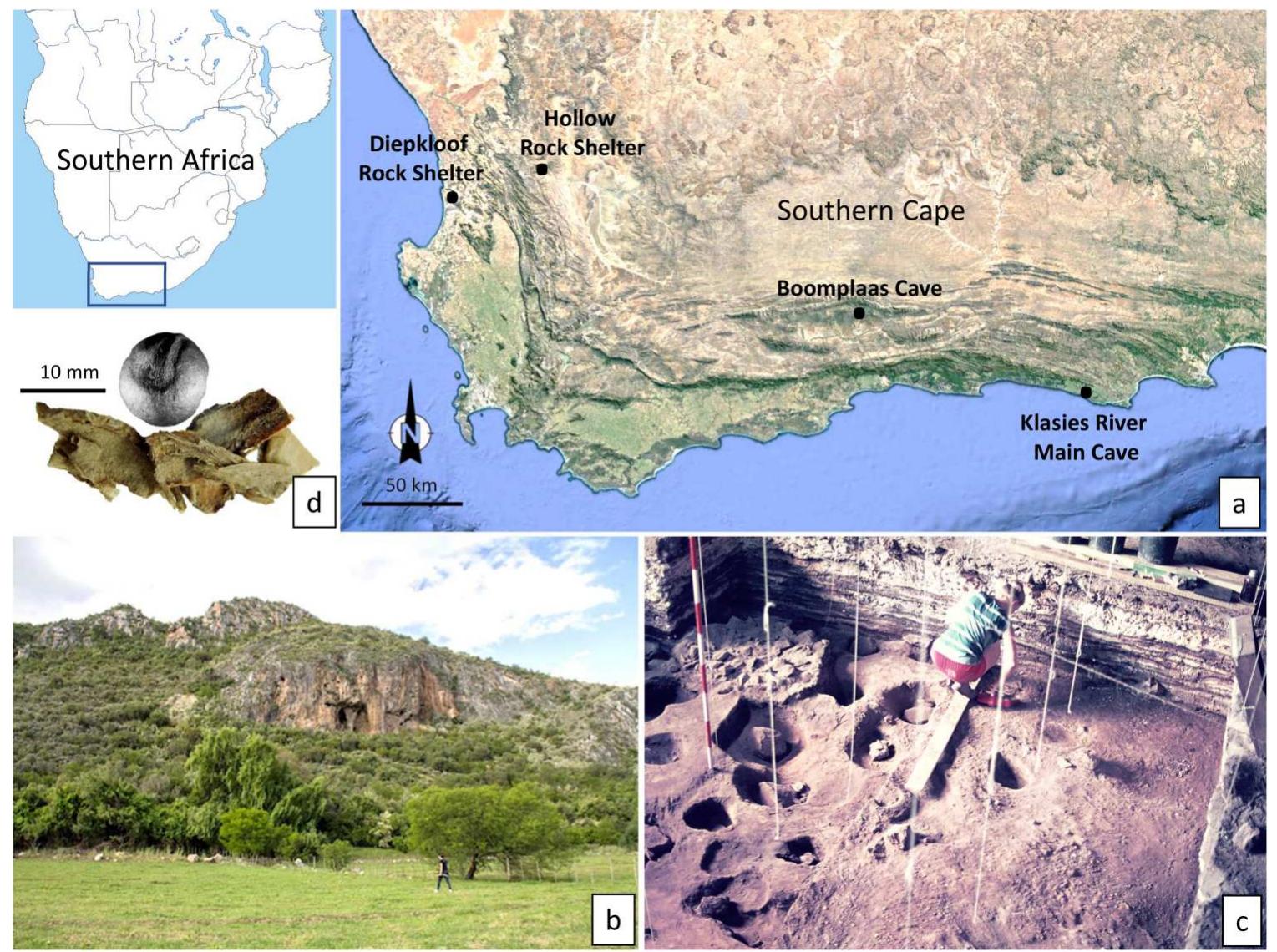 Boomplaas cave and key finds: a) map of the site’s location