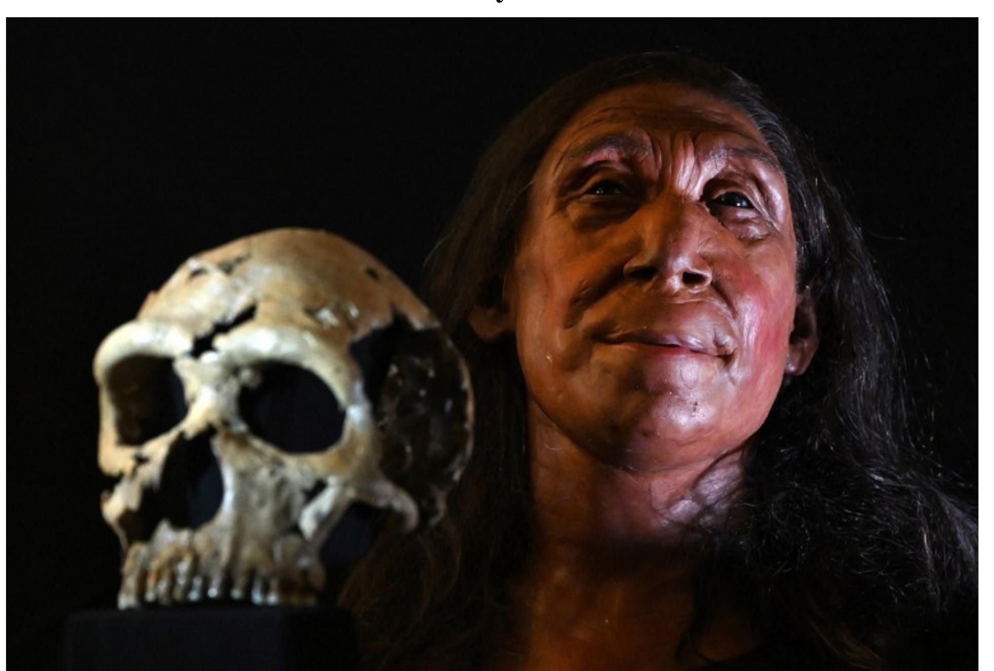 Neanderthals (reconstruction, right, and fossil) and homo