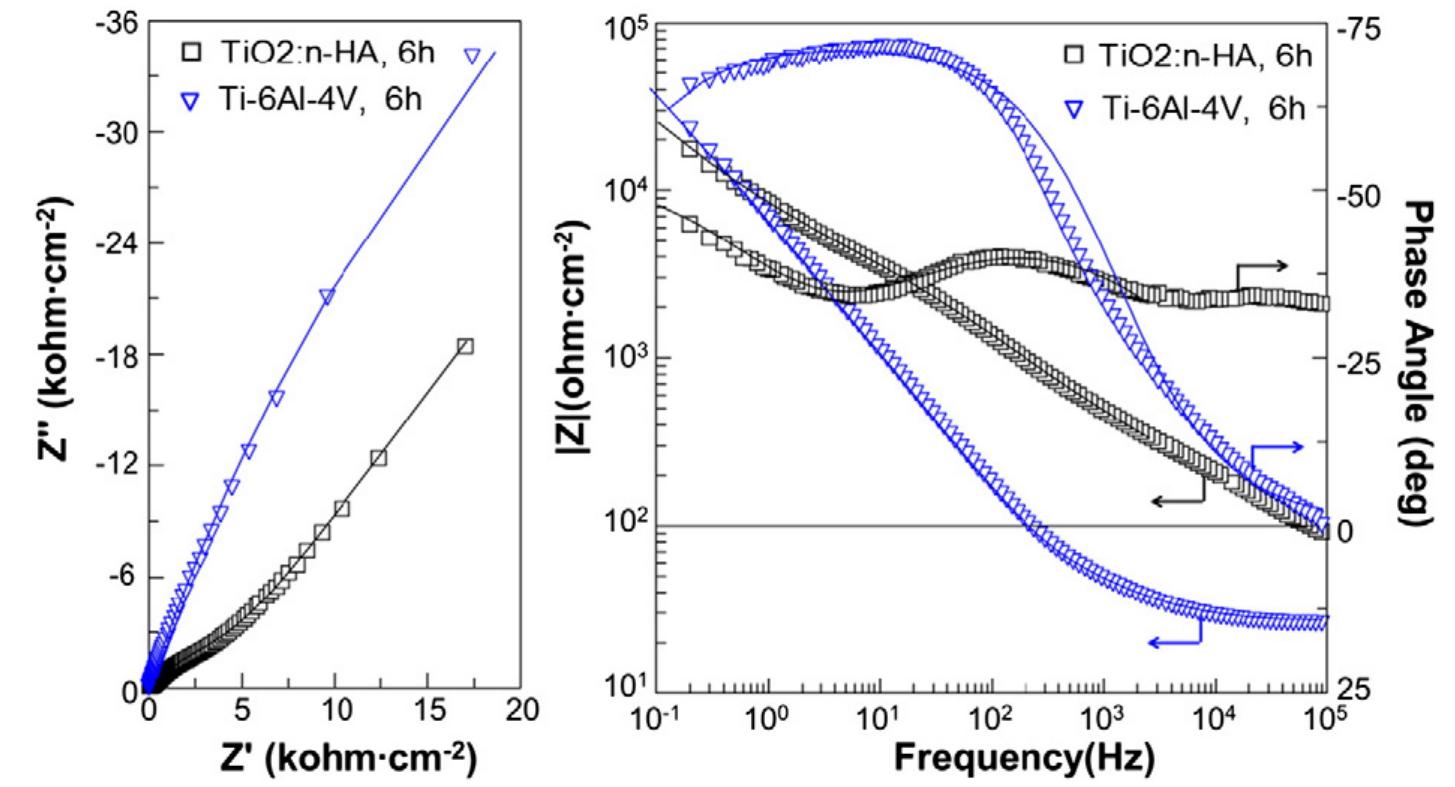 Electrochemical impedance spectra of investigated specimens