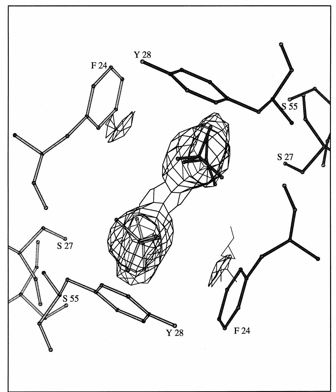 Figure 8 - High Resolution Crystal Structures of Amphibian