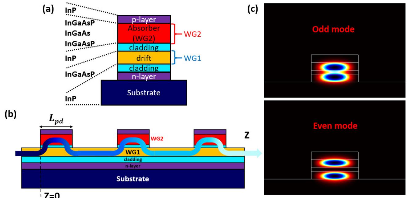 (a) cross-section of waveguide photodiode; (b) light