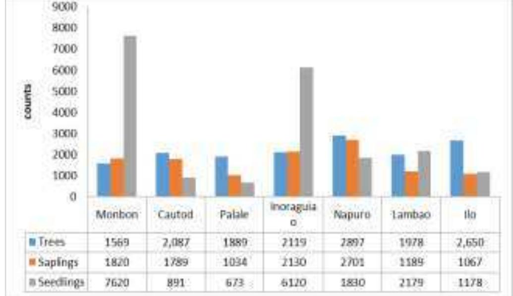 Present total standing mangroves forest of sta. margarita