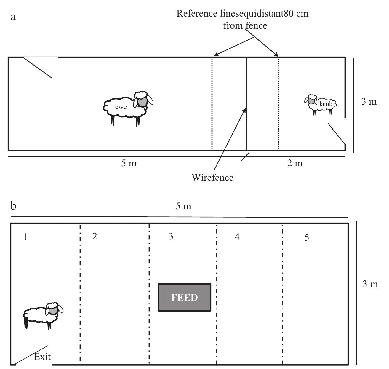 Experimental setup. (a) mother-lamb partial separation test