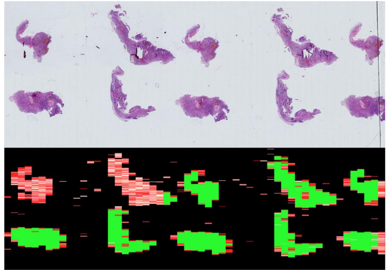 Ndpi sharpness results. hamamatsu ndpi 18.7 billion pixel