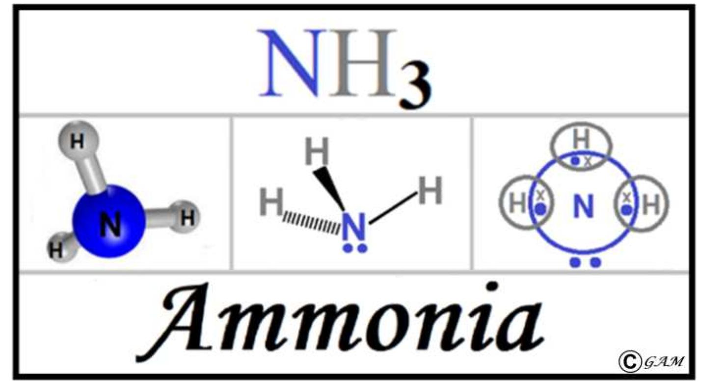 Various types of molecular and chemical structure of ammonia