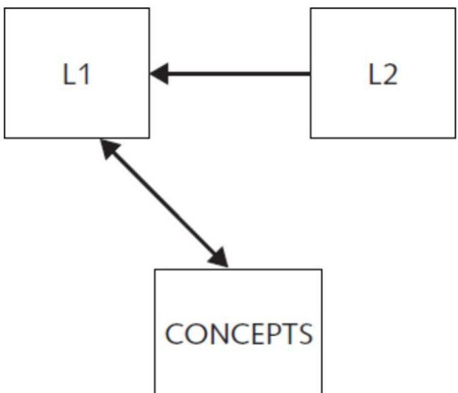 Word association model (adapted from kroll & stewart, 1994)