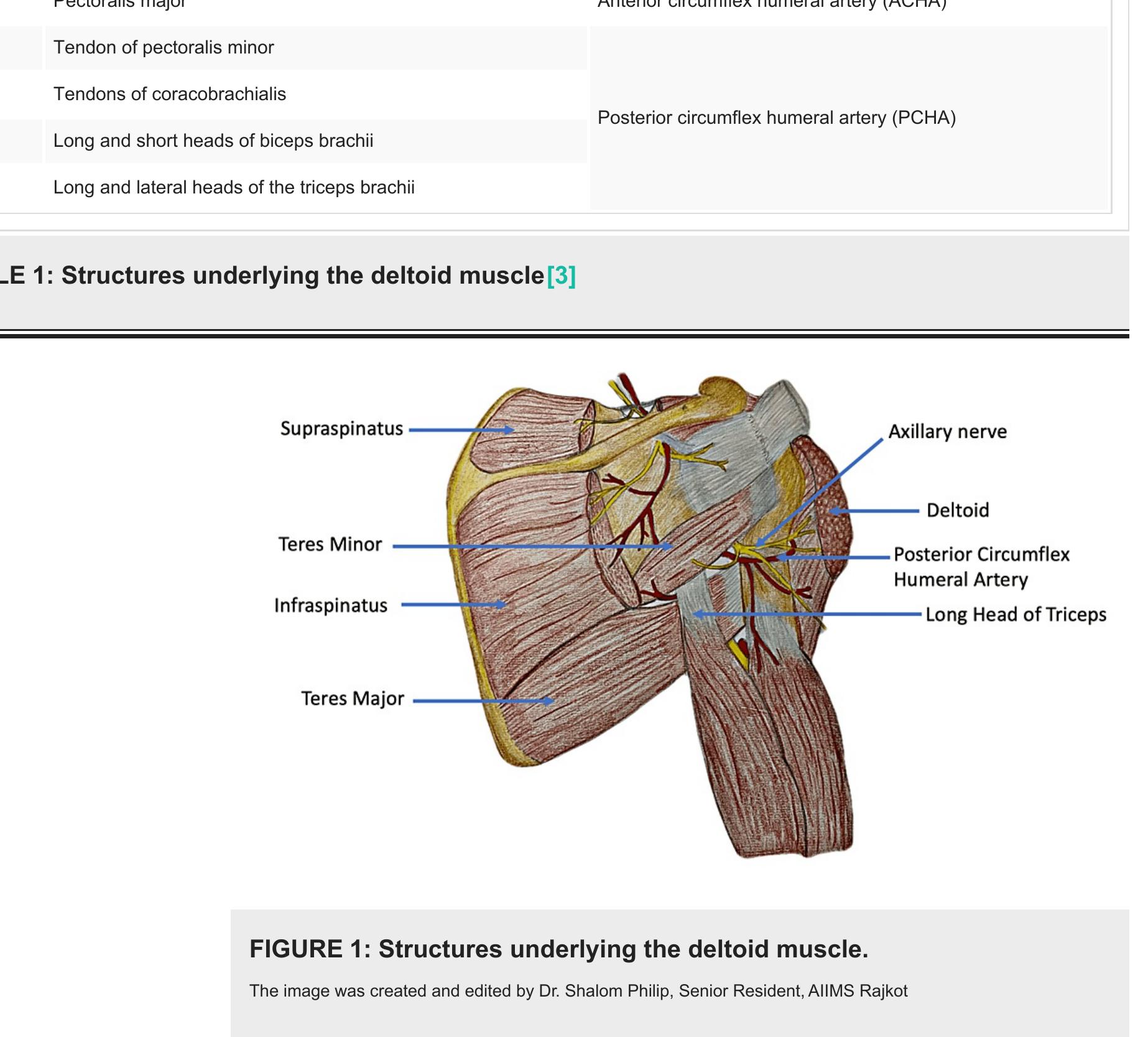Figure 2 - Deltoid Intramuscular Injections: A Systematic