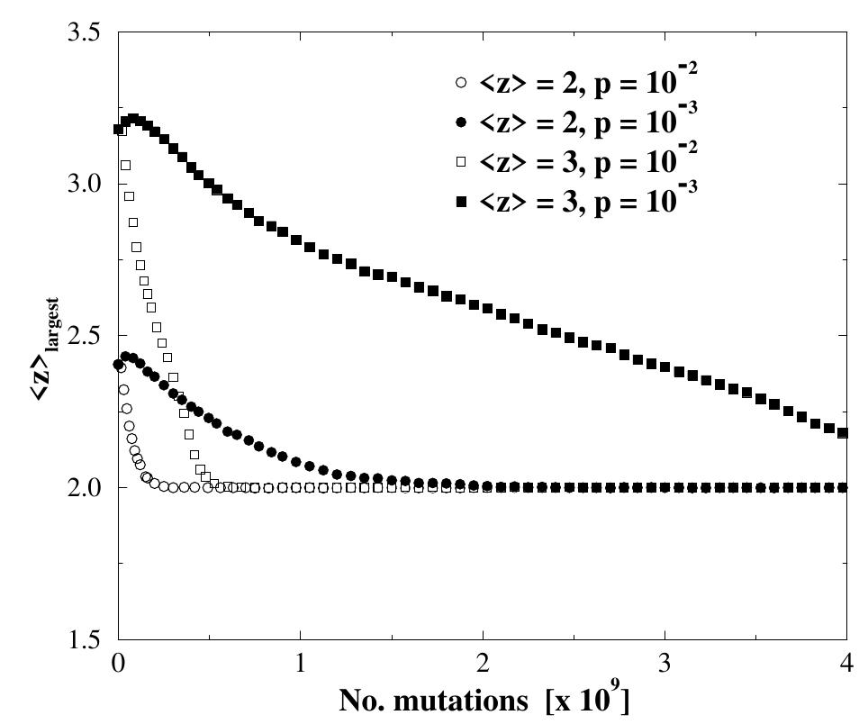 Evolution of the average coordination number in the largest