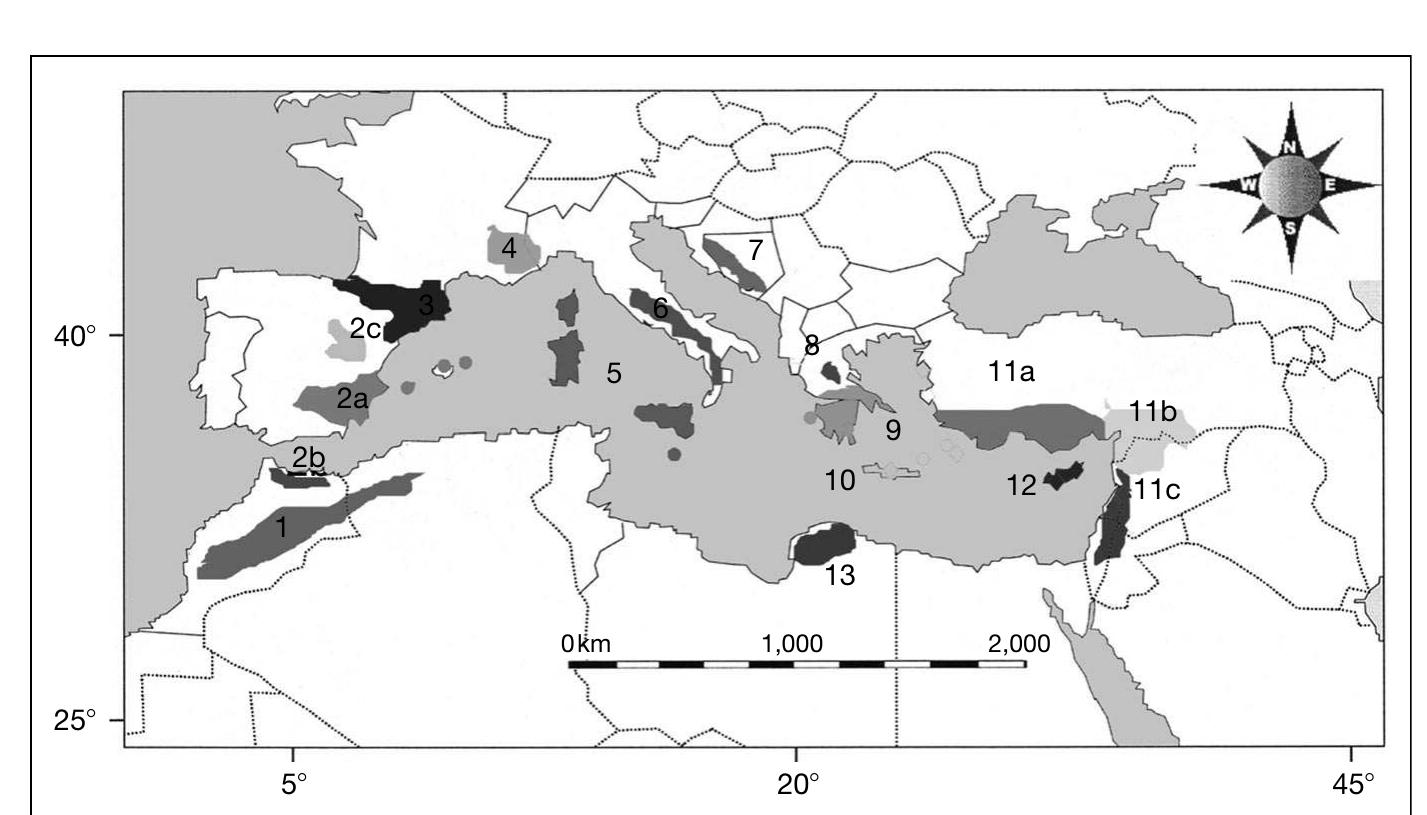 Synthetic map of the 14 first micro hotspots of plant