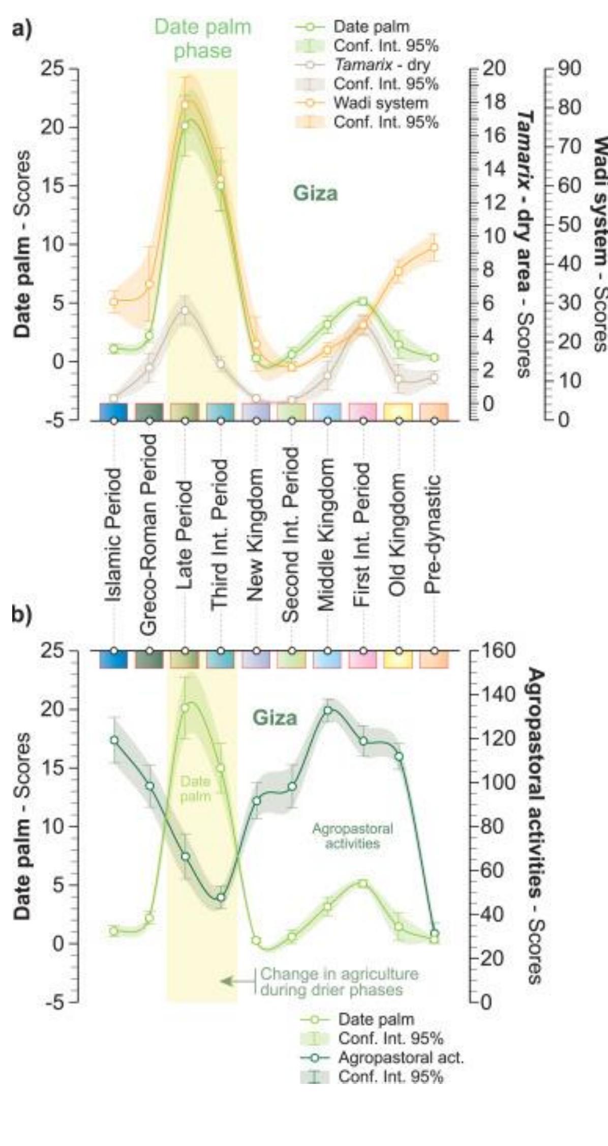 The date palm cultivation phase. (a) evolution of date palm