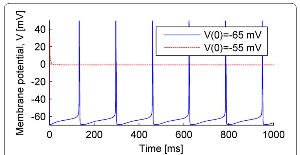 Response of a modeled neuron for different initial condi-