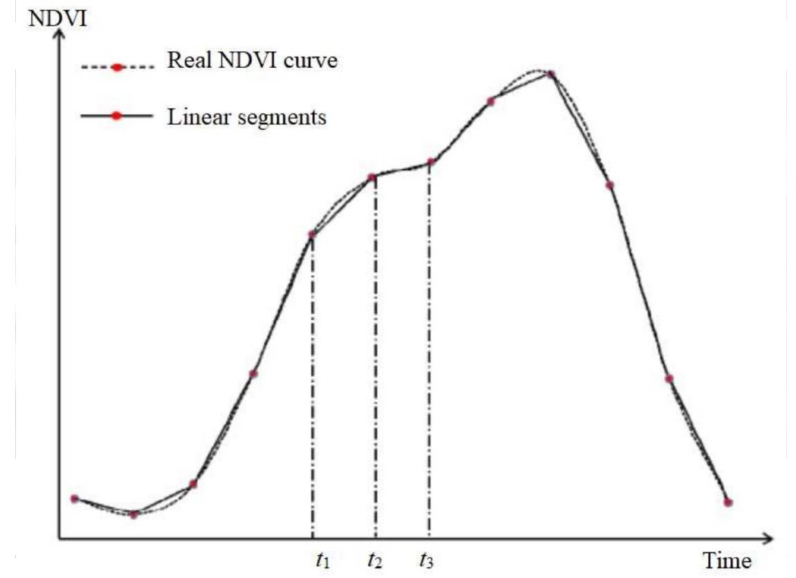 Schematic diagram of a ndvi curve and its linear segments