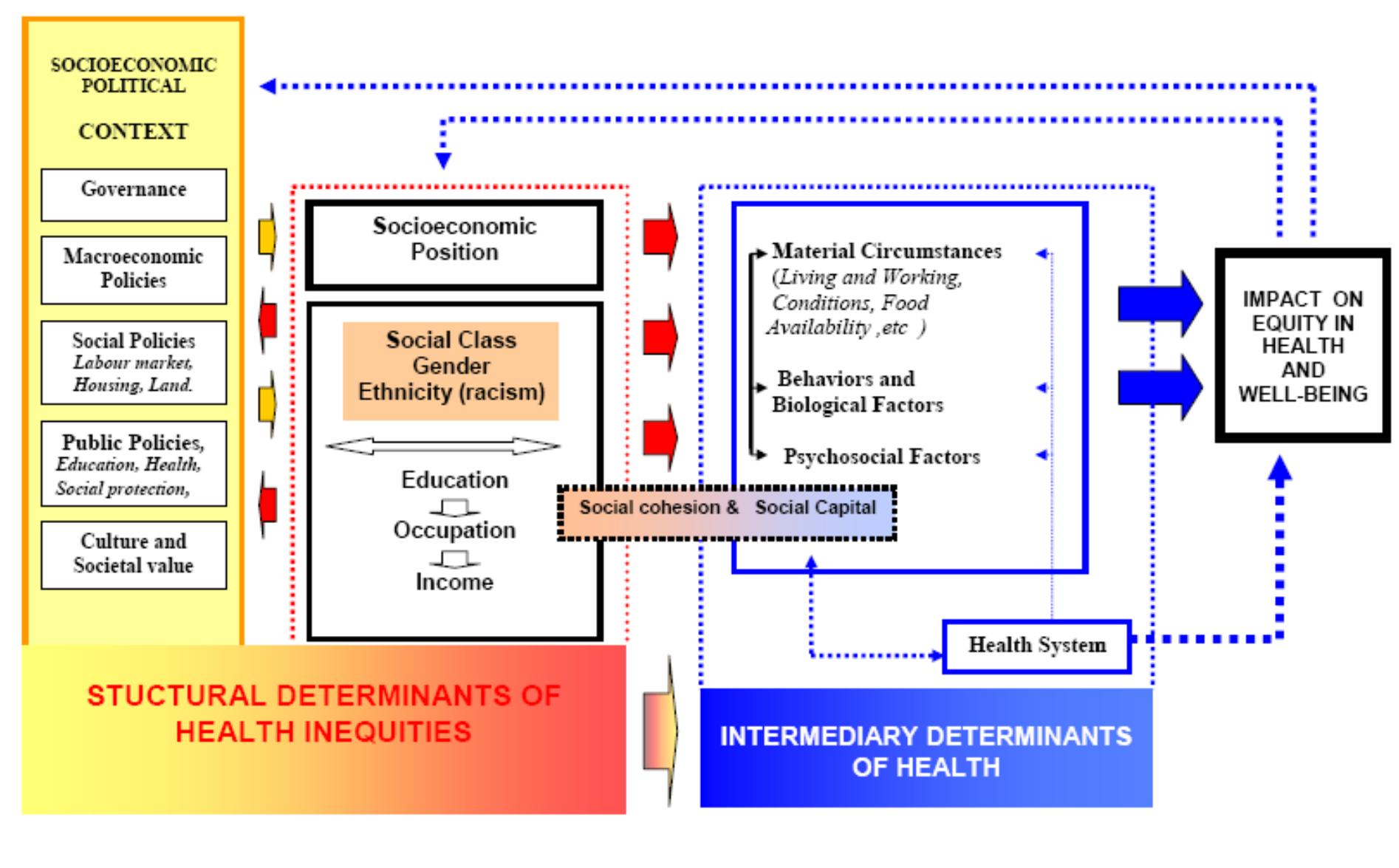Summary of social determinants of health framework. source: