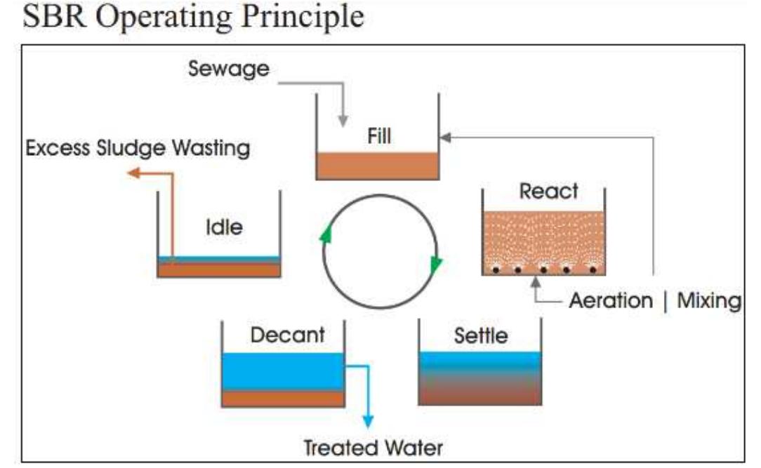 Flow chart of sbr keywords: sewage treatment plant (stp)1,