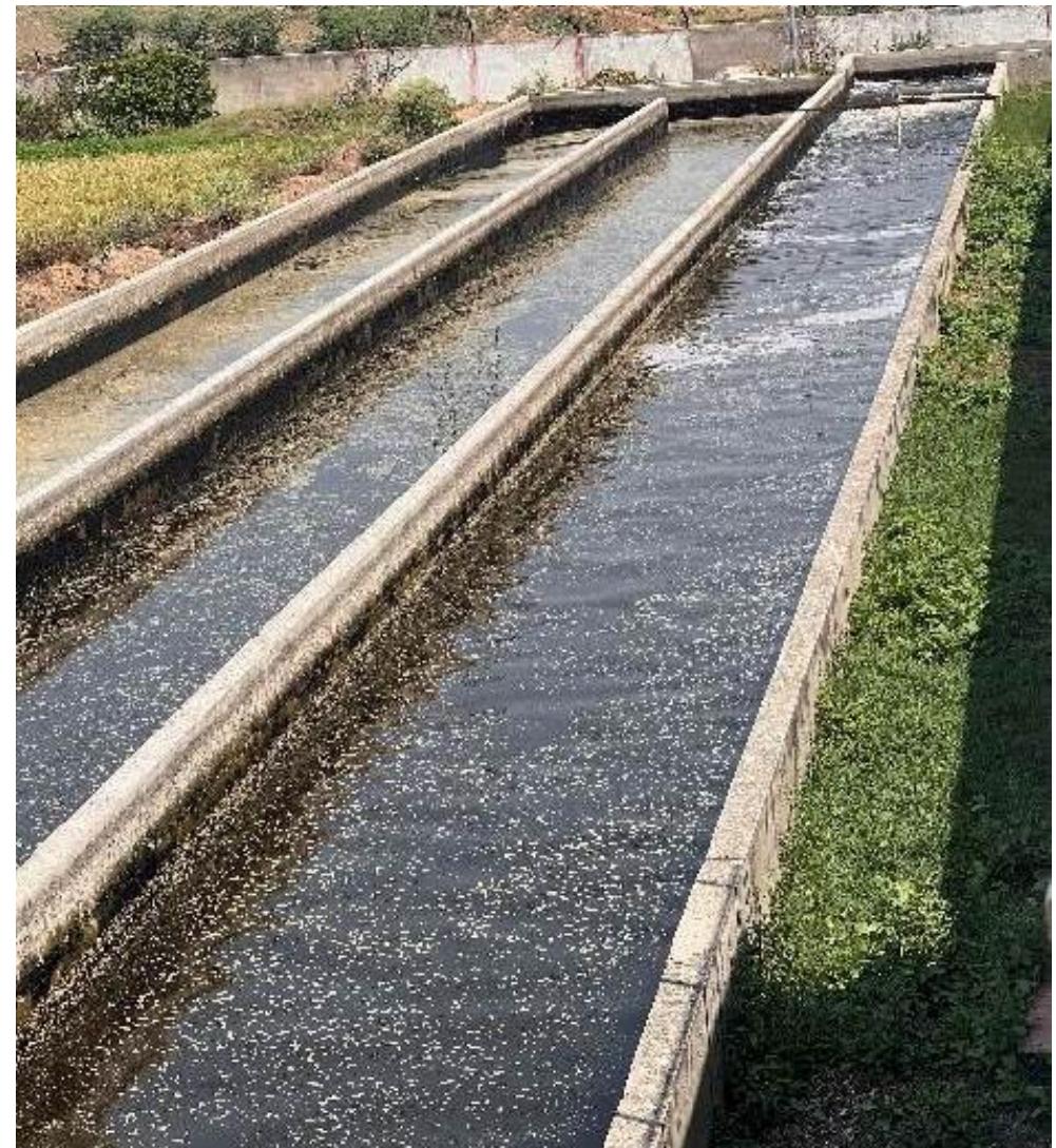 6 --- chlorine channel process