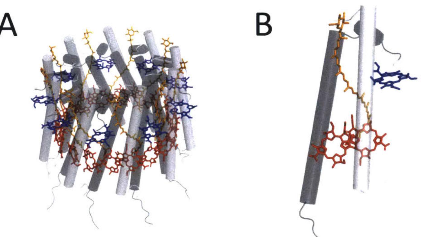 Structure of lh2. (a) complete structure of lh2 from rsp.