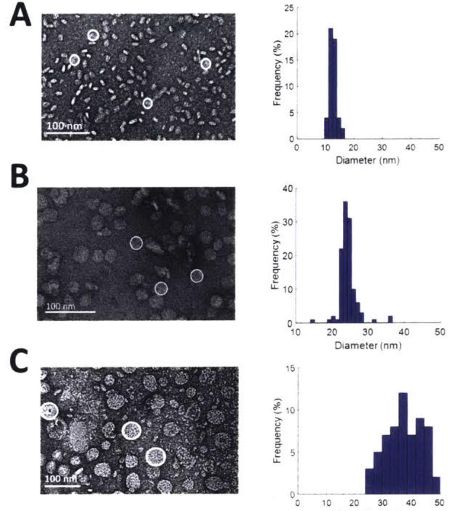 Optimal ratios of belting protein and lipids were determined