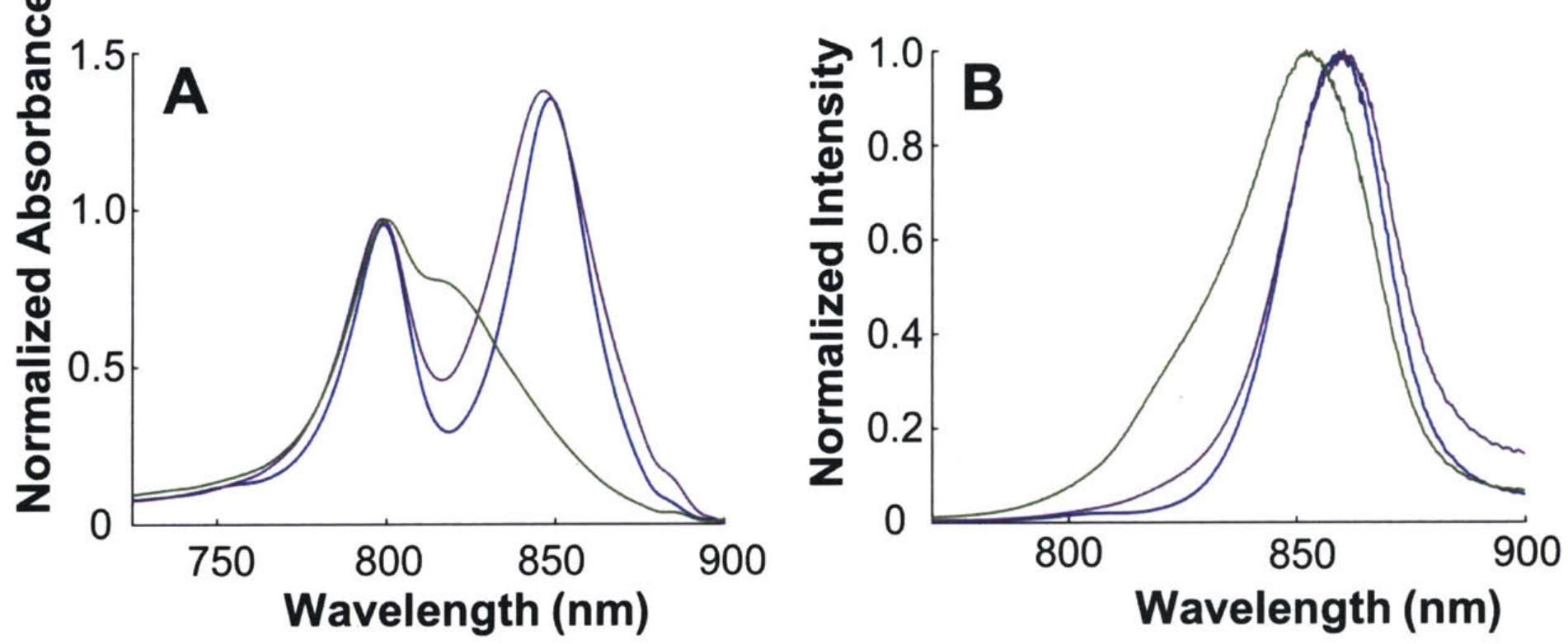 Linear absorption and fluorescence spectra of the three